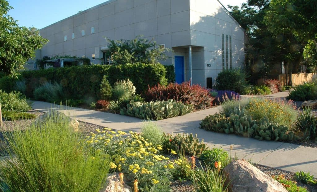 Sustainability - Denver's Best Landscapes - Lifescape Colorado