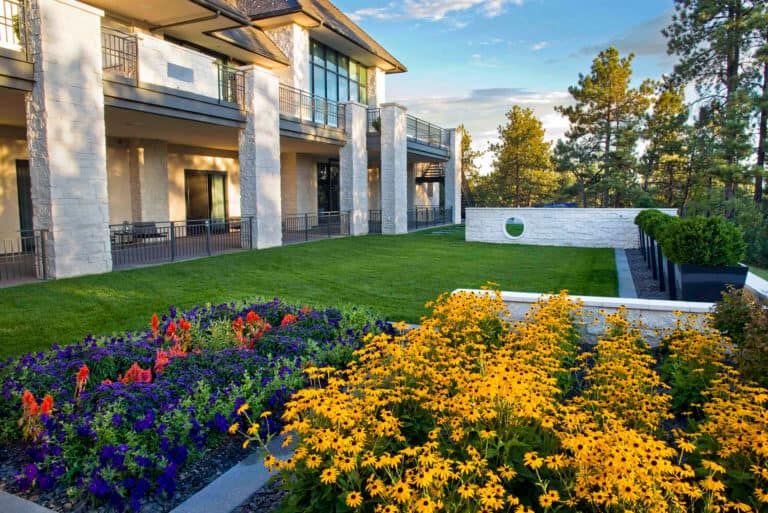 Lifescape debuts new branding with updated logo and website