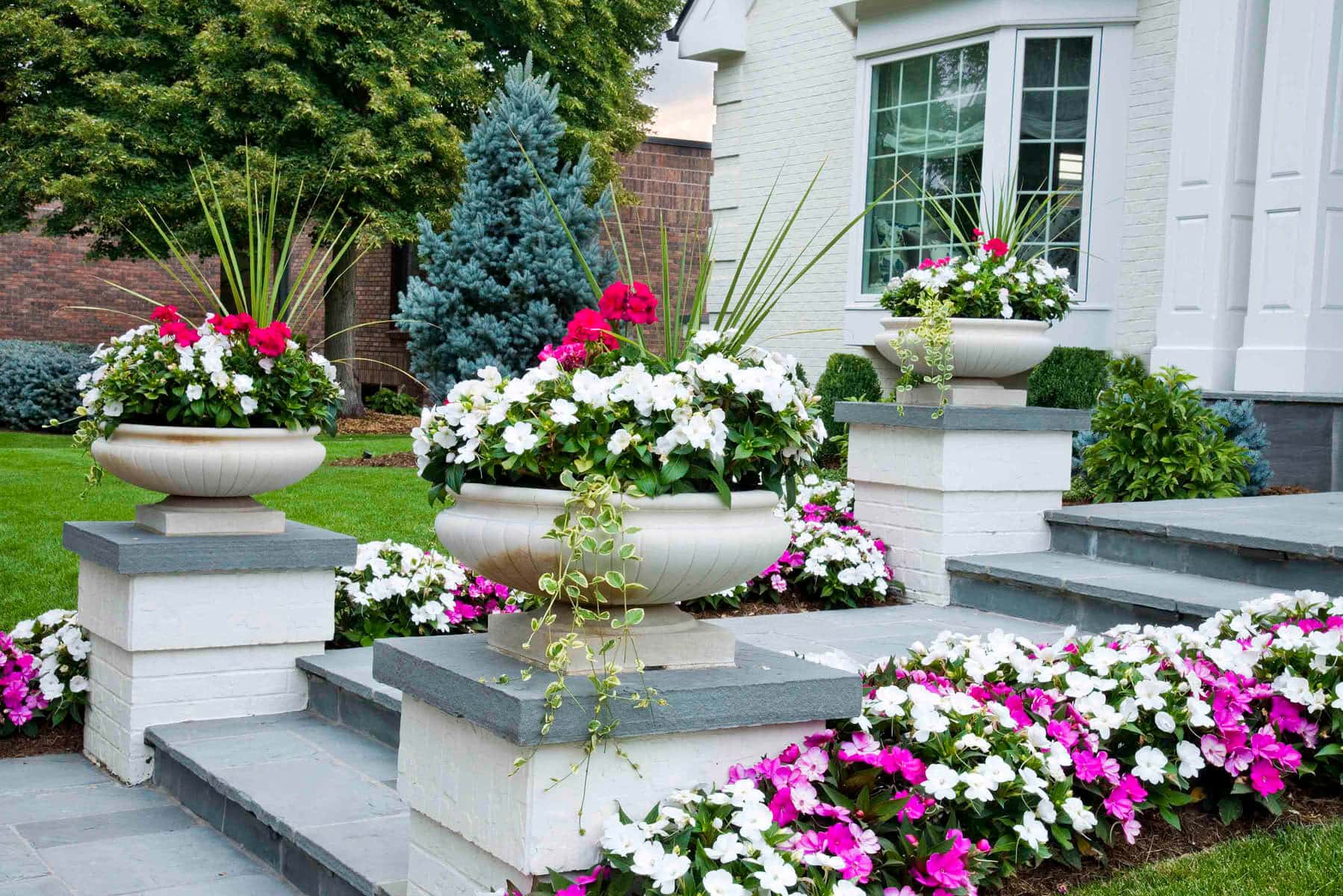 Expert Advice: A 6-Step Guide to Container Plantings | Lifescape Colorado