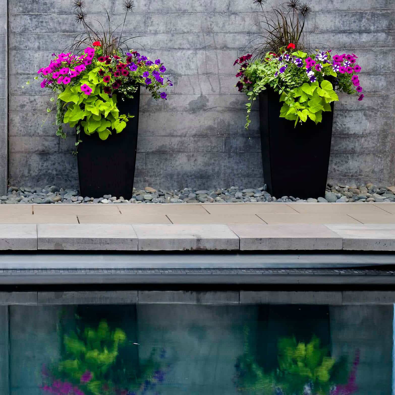 Expert Advice: A 6-Step Guide to Container Plantings | Lifescape Colorado
