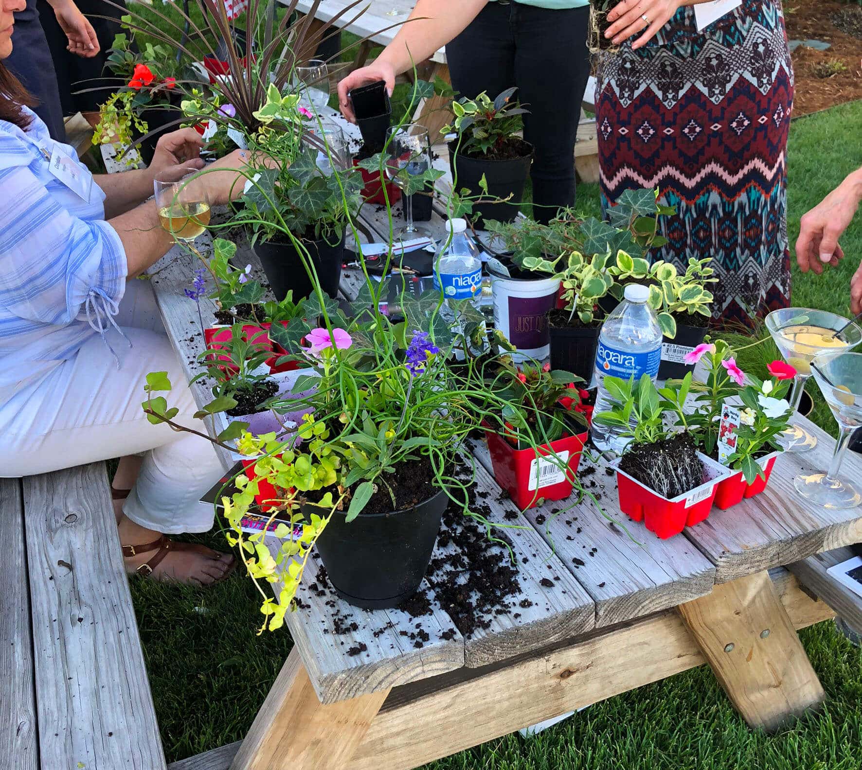 Design community comes together for container planting party