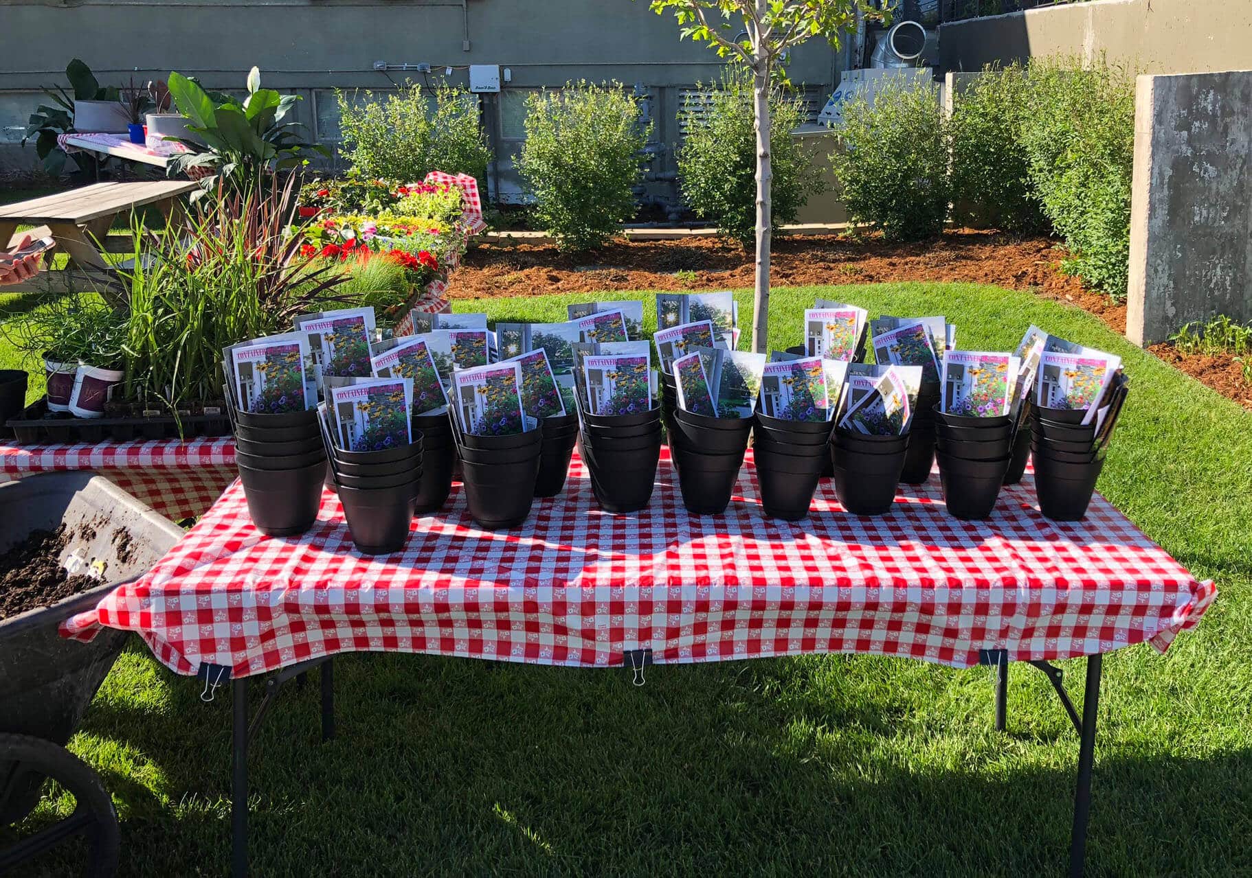 Design community comes together for container planting party