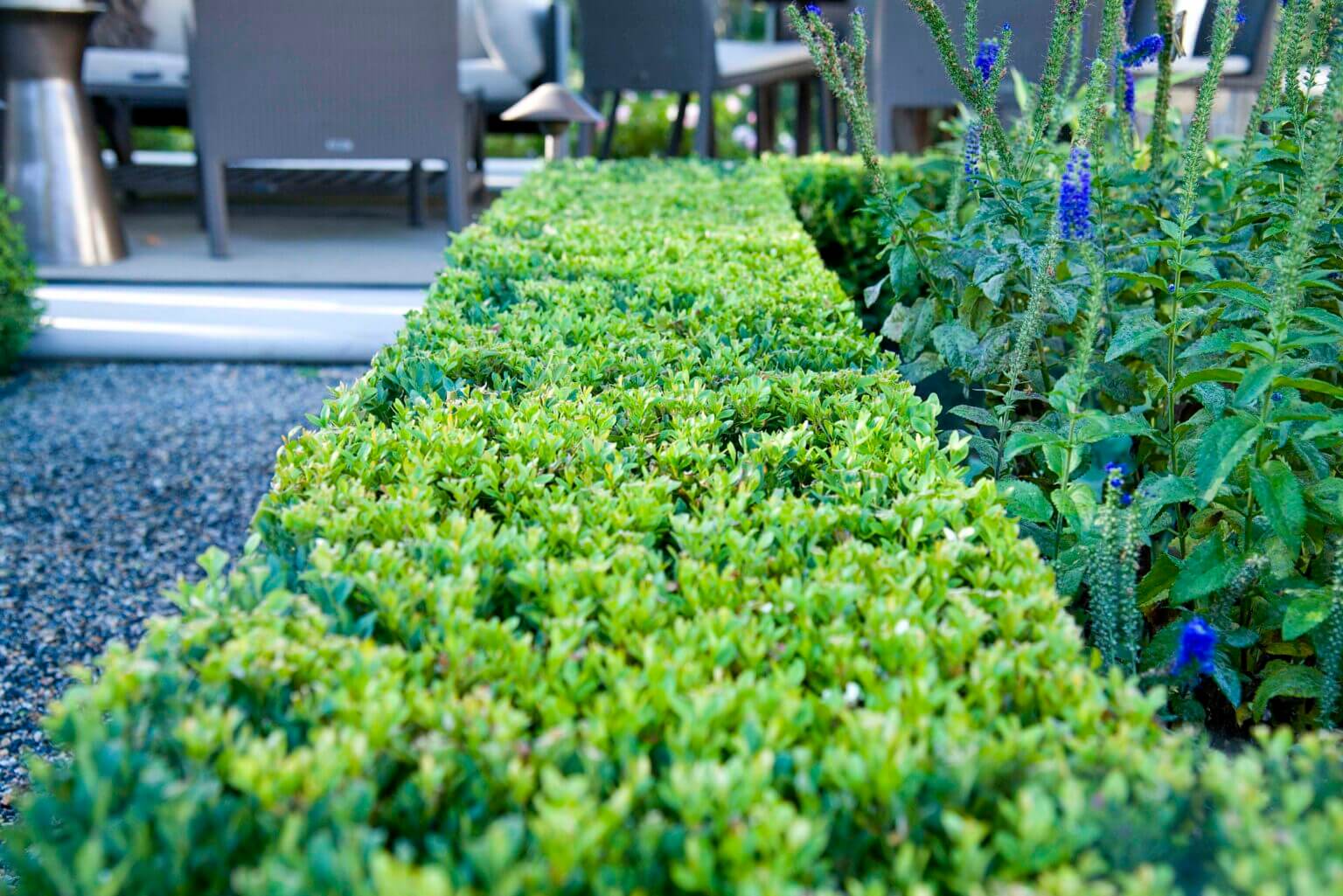 Top Landscape Design Trends for 2020 and Beyond | Lifescape Colorado