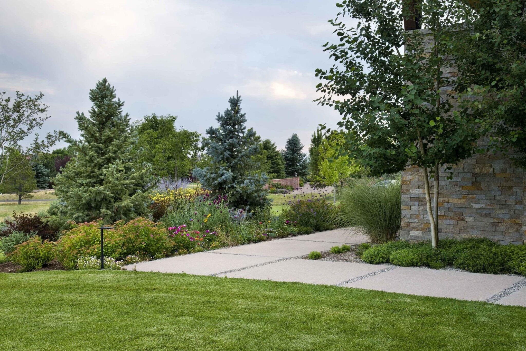 7 Tips to Bring your Landscape Back to Life | Lifescape Colorado