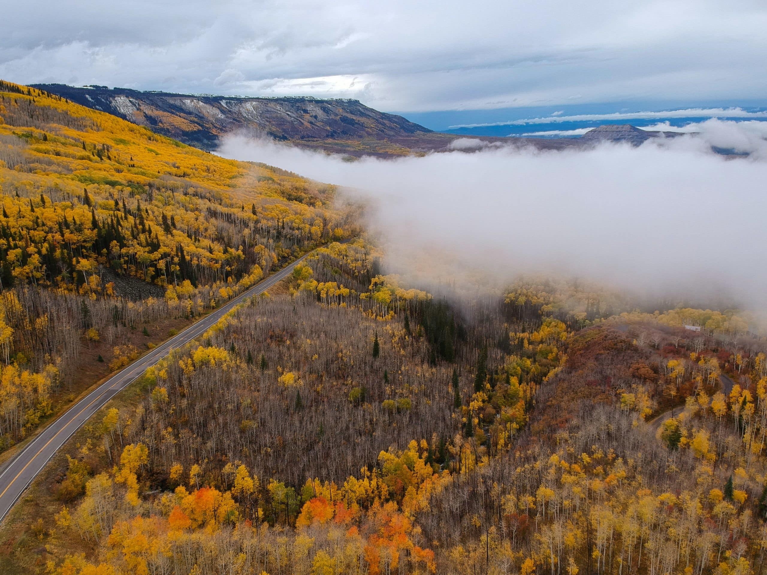 Full on Fall Displays | Lifescape Colorado