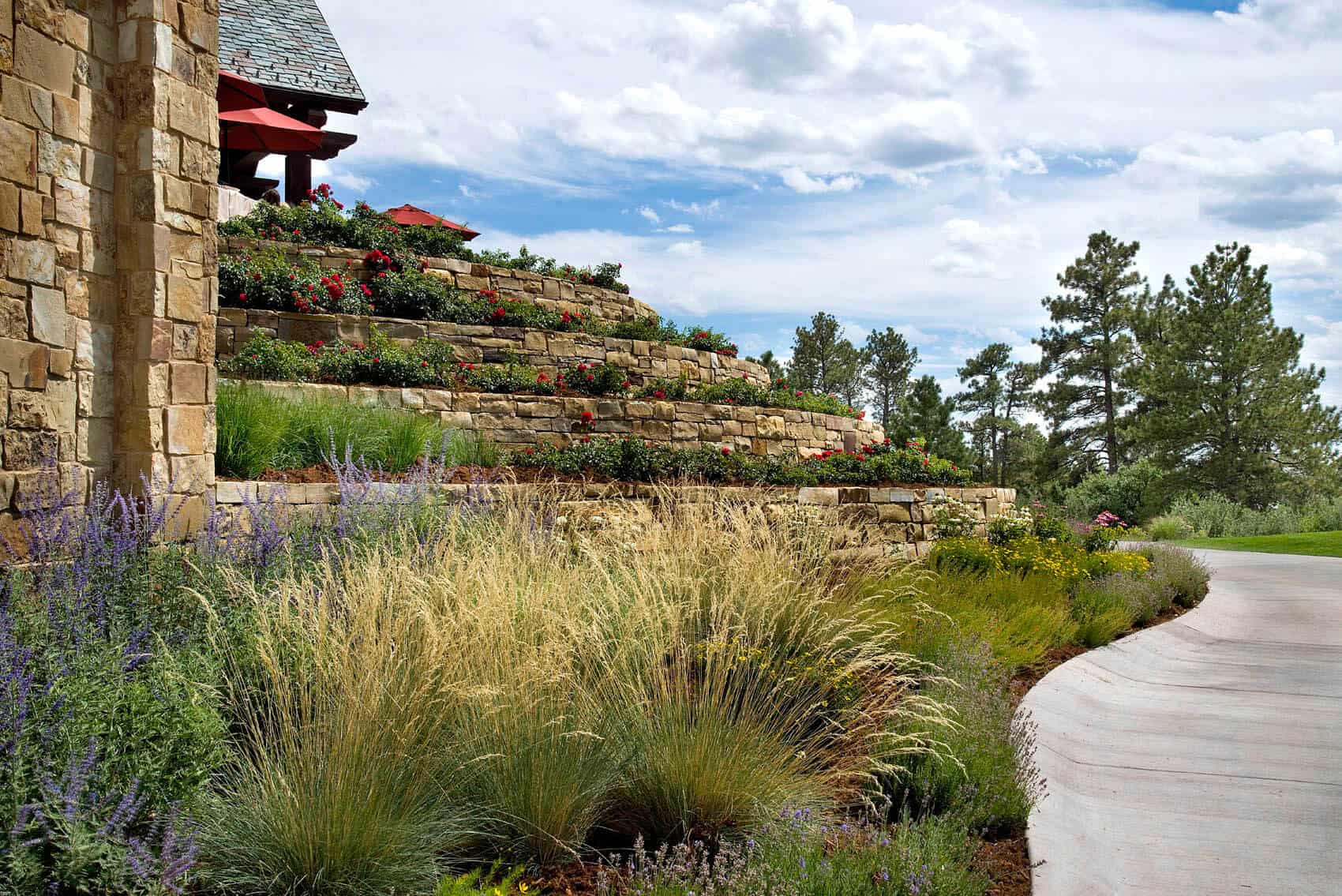 Commercial Clubhouse | Lifescape Colorado