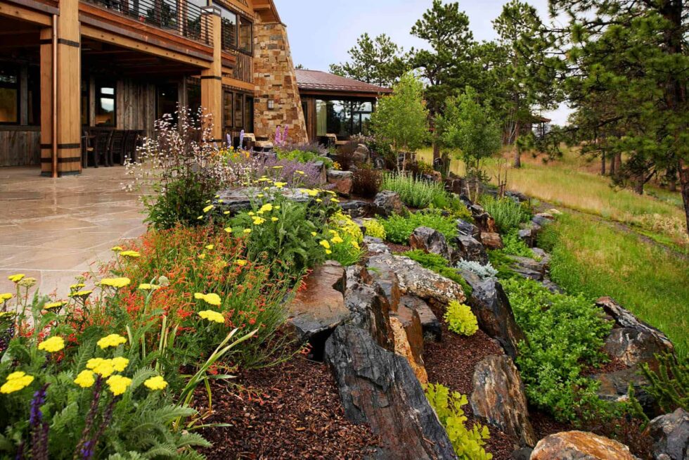 Mountain Modern | Lifescape Colorado
